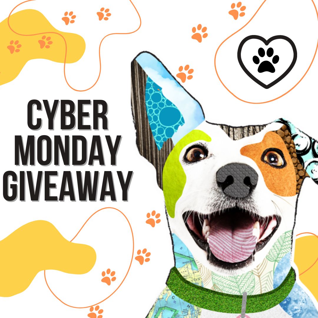 Cyber Monday Giveaway! - Woodbury