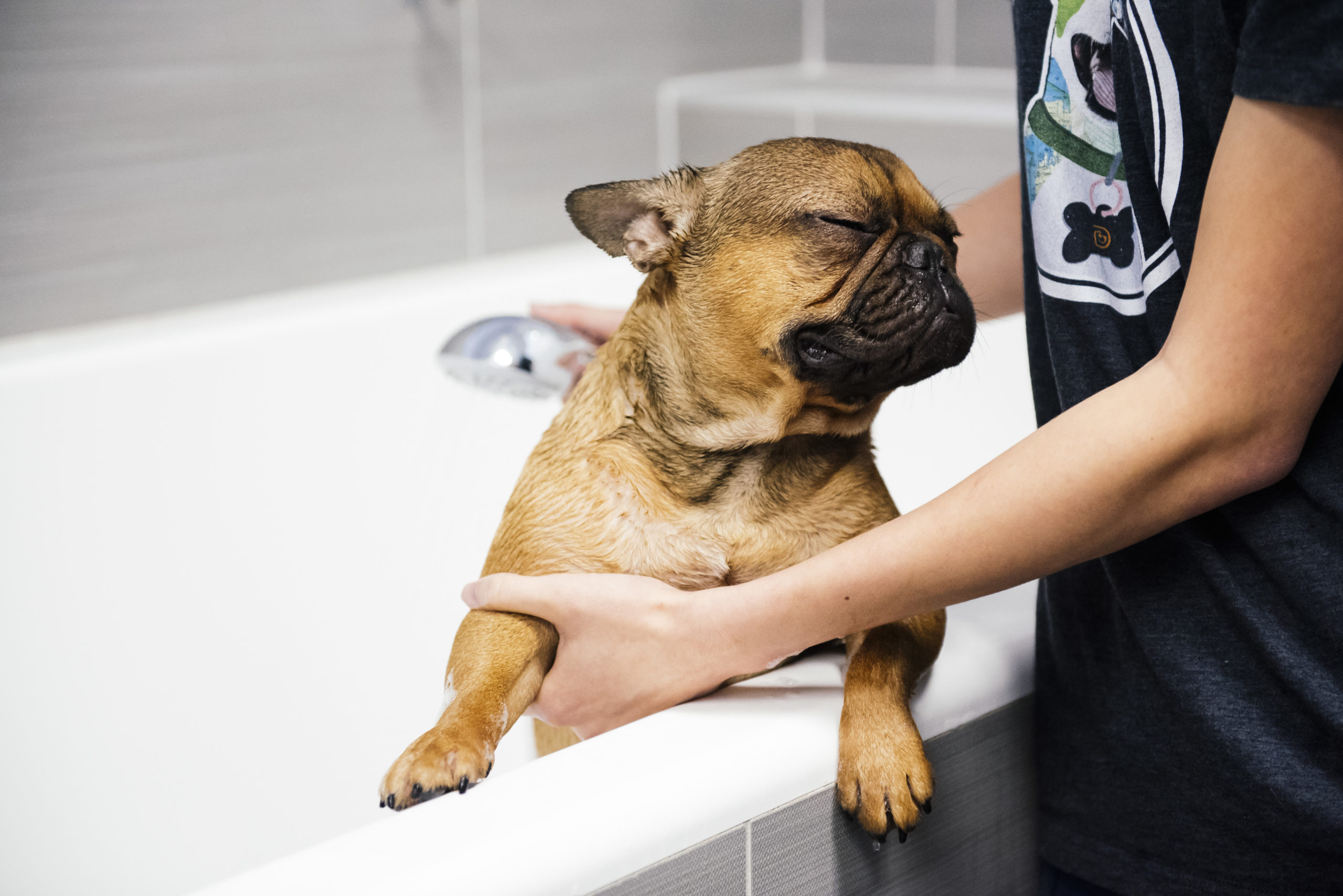 Blueberry Facial Spa Day! - Woodbury