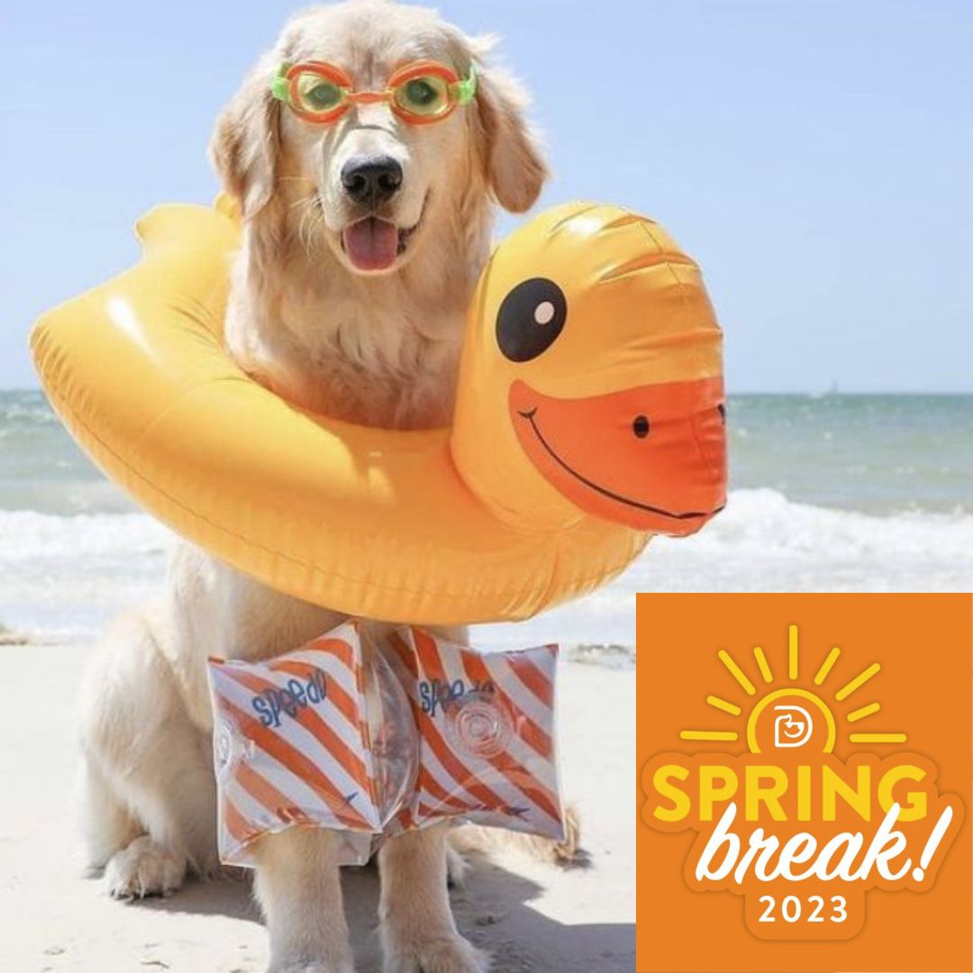 Pool Day for Spring Break Week! - Woodbury