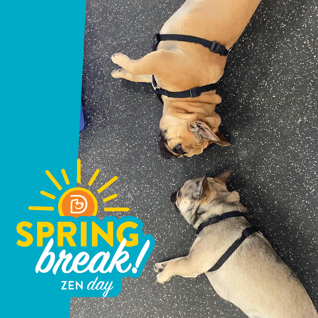 Yoga Day for Spring Break Week! - Woodbury