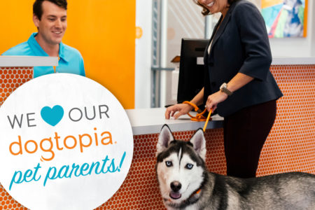 National Pet Parents Day! - Woodbury