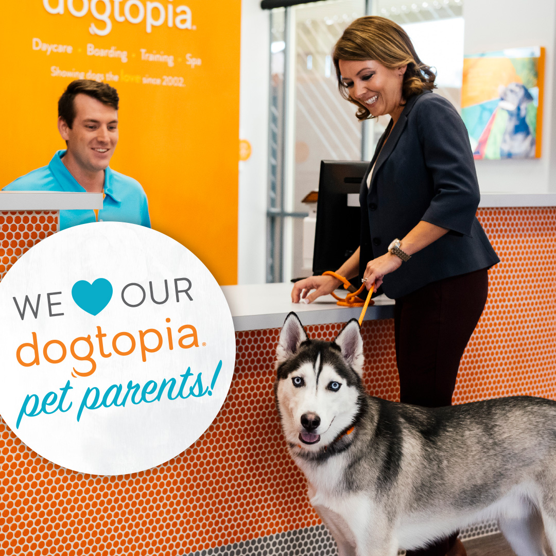 National Pet Parents Day! - Woodbury