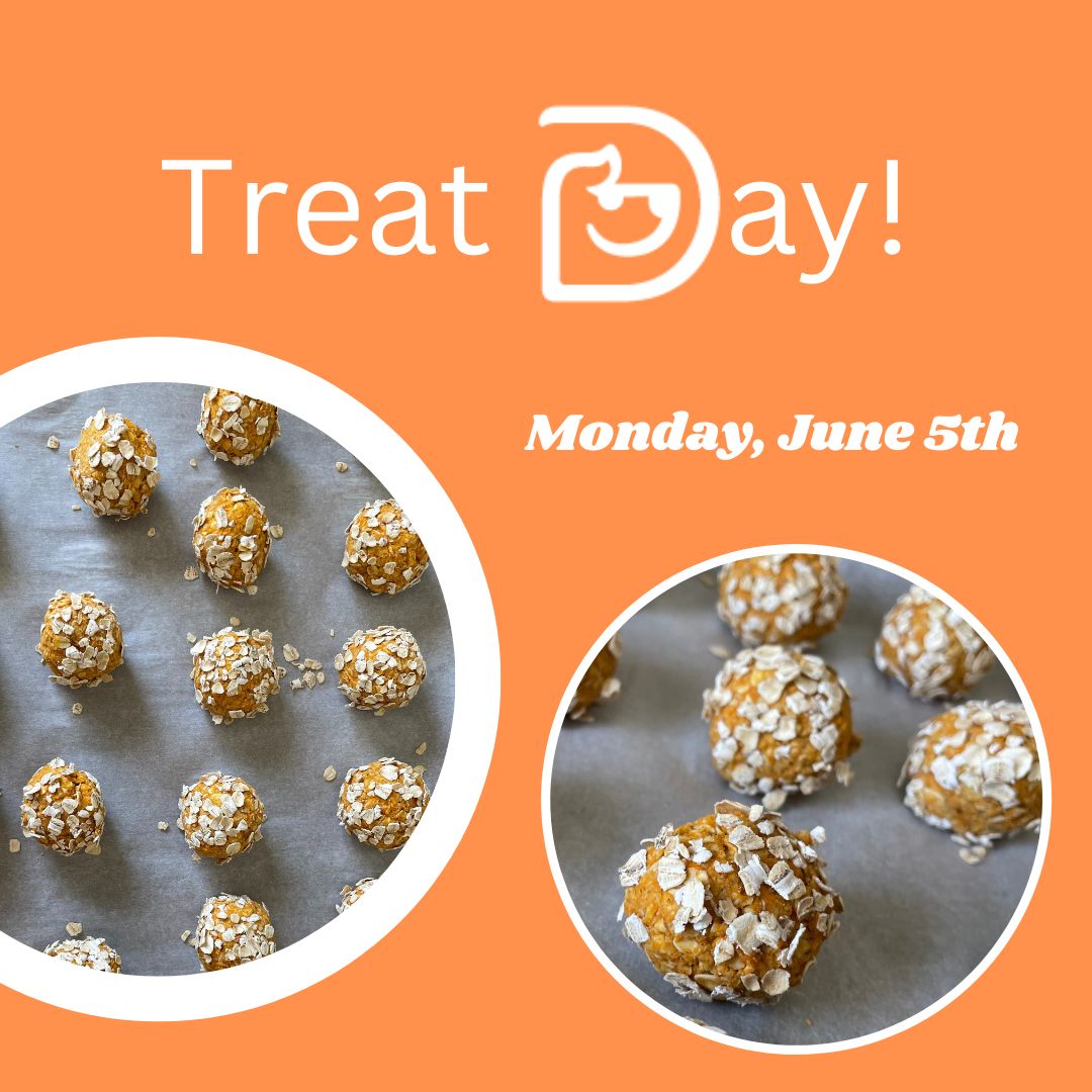 Peanut Butter & Pumpkin Treat Day! - Woodbury