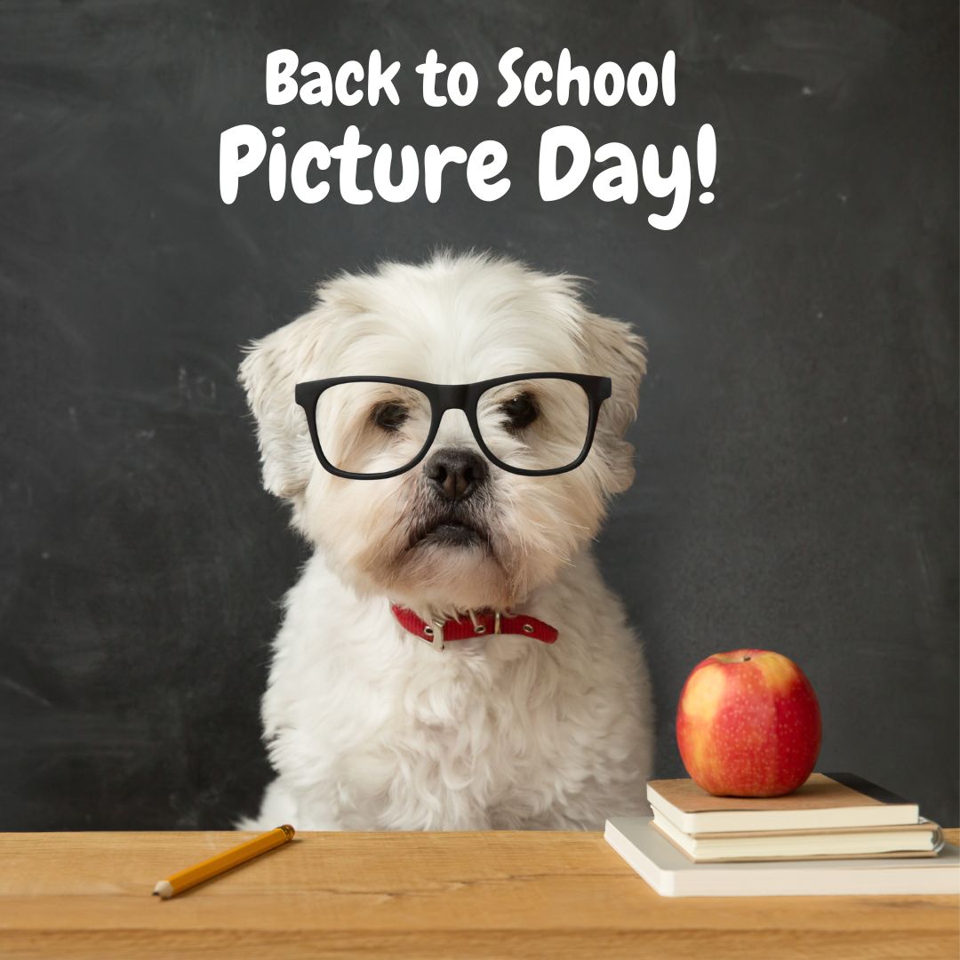 Back to School Picture Day! - Woodbury