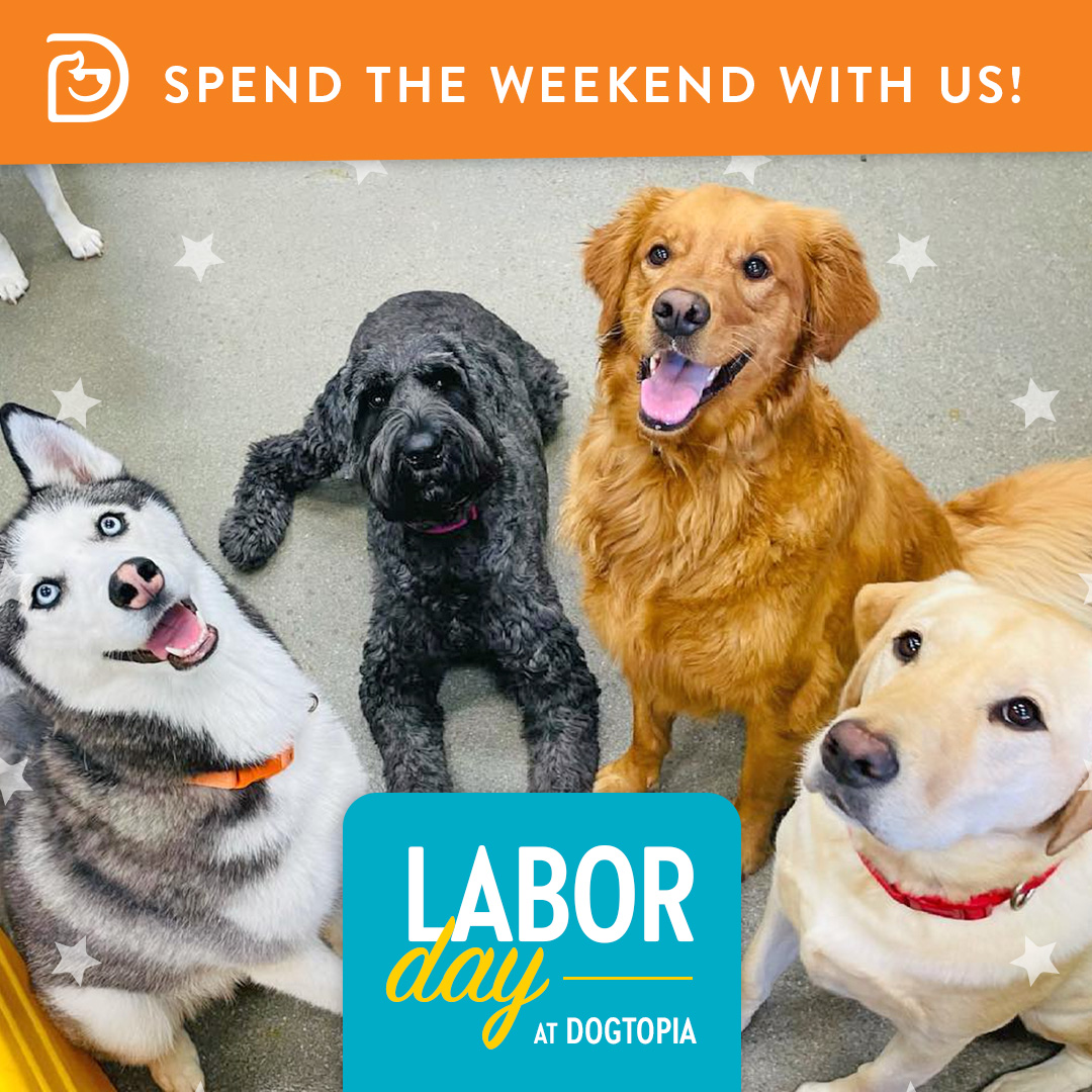 Labor Day Weekend Raffle! - Woodbury