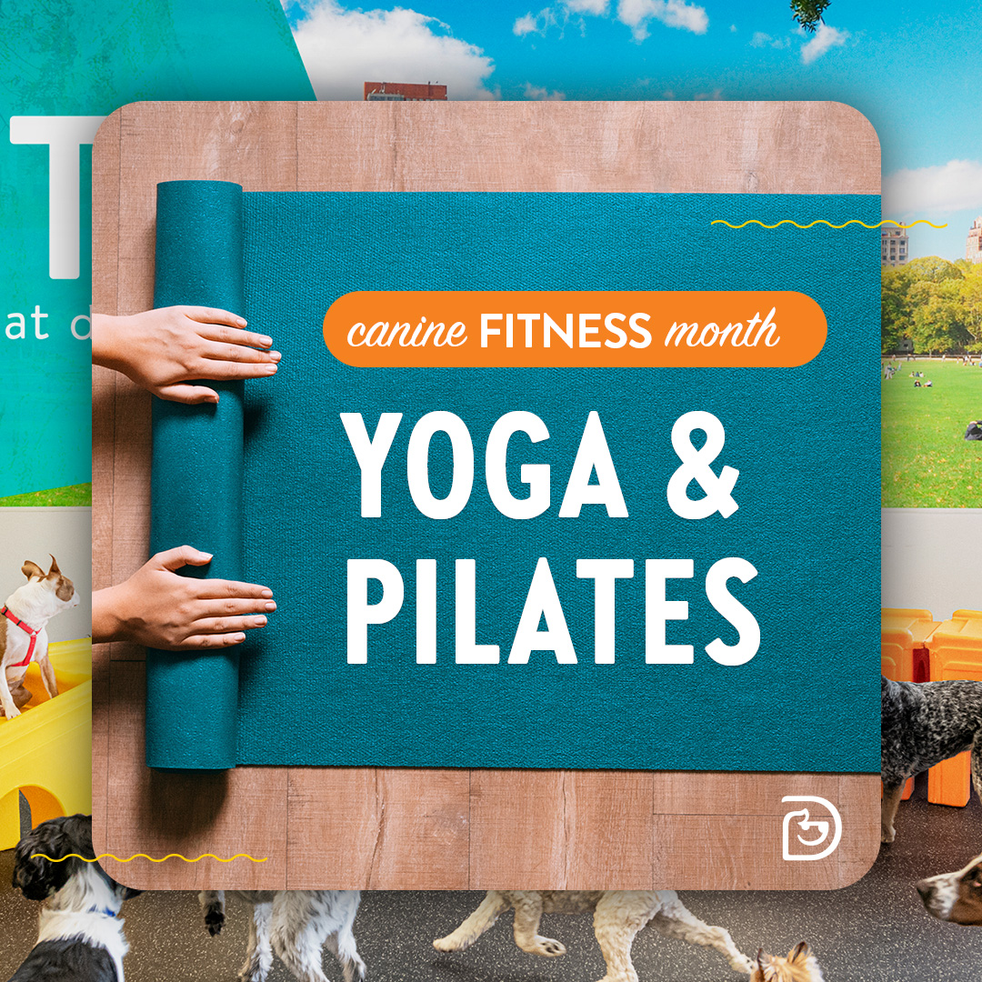 Earth Day Yoga! - Woodbury