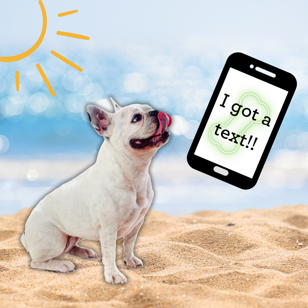 "I GOT A TEXT" Treat Day! - Woodbury