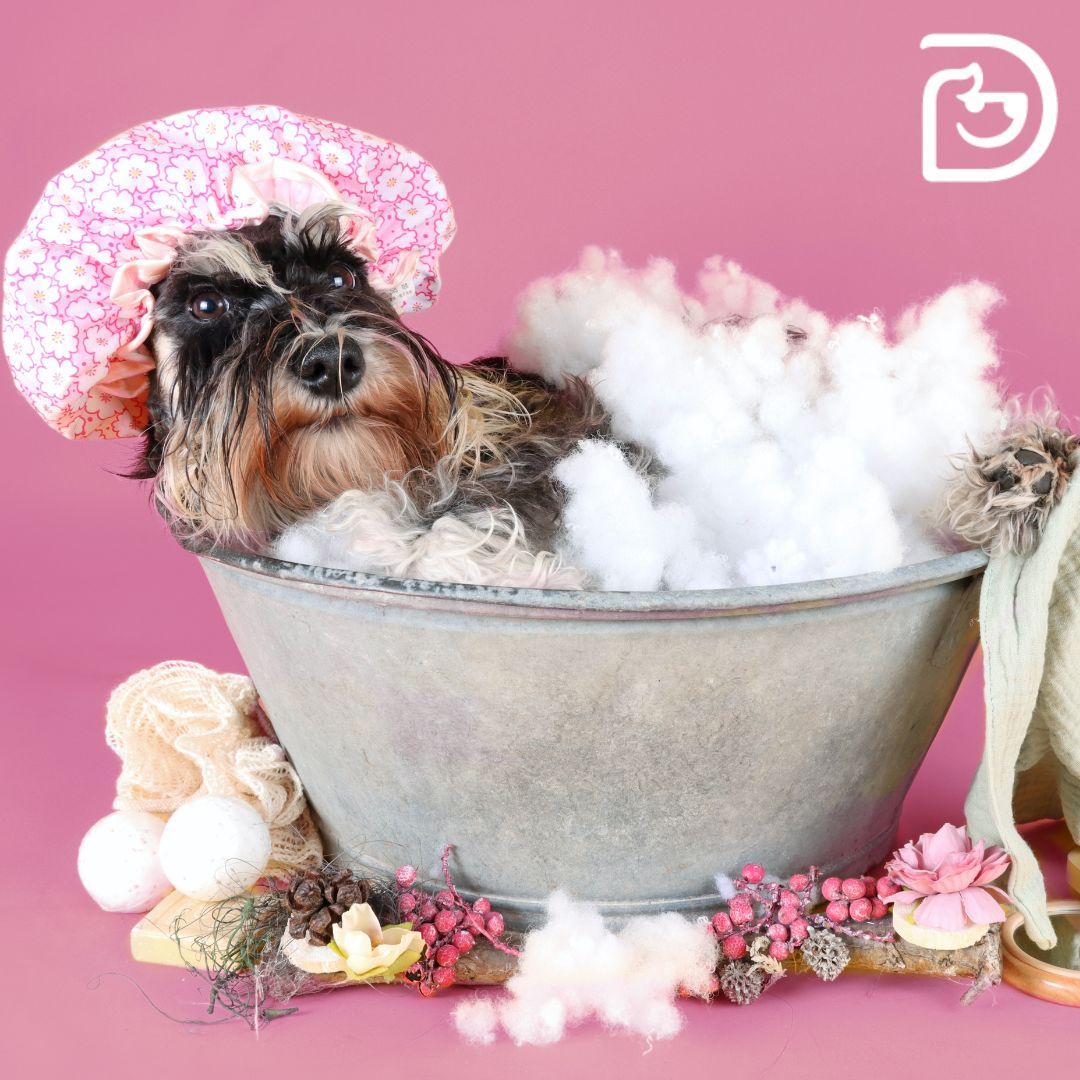 Spa Day: Bathe it Forward - Woodbury