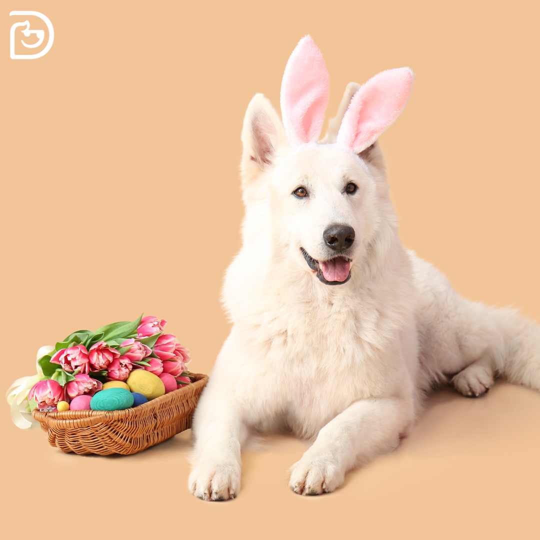 Easter Feast! - Woodbury