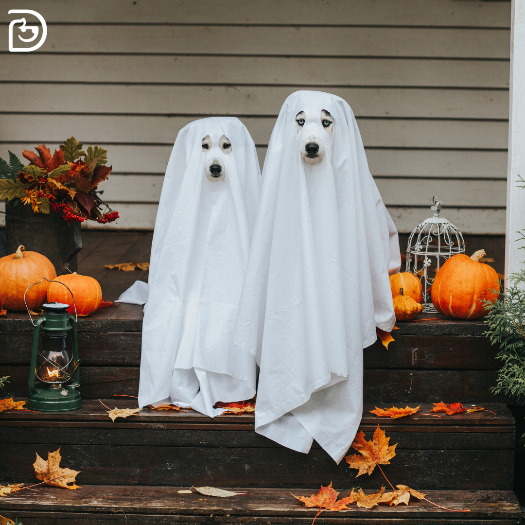 Ghost Chase Day! - Woodbury