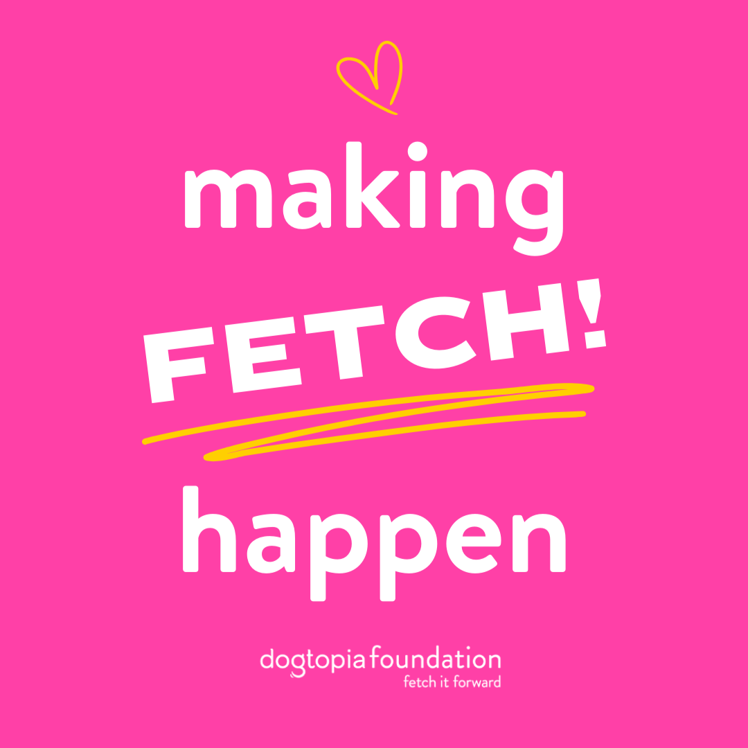 Fetch It Forward - Mean Girls Day - Woodbury