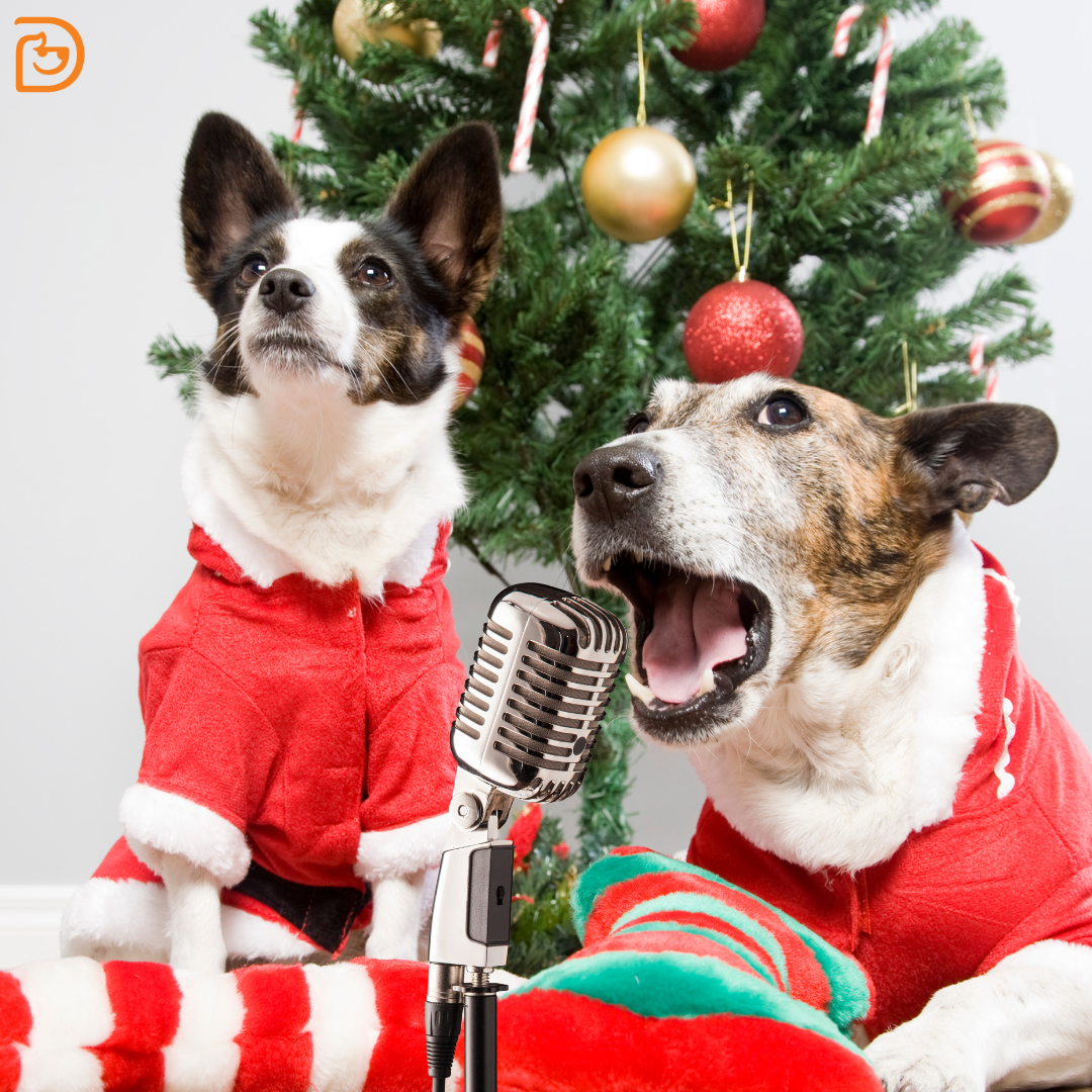 Christmas Sing-A-Long - Woodbury