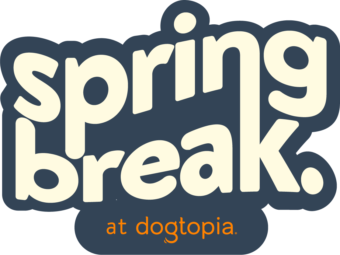 Spring Break at Dogtopia of Bearden - Bearden-Knoxville