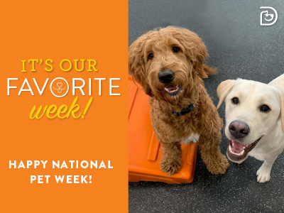 National Pet Week - Boise-Greenbelt