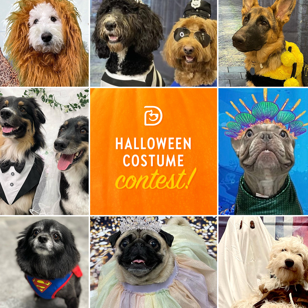Dog Costume Contest - Boise-Greenbelt