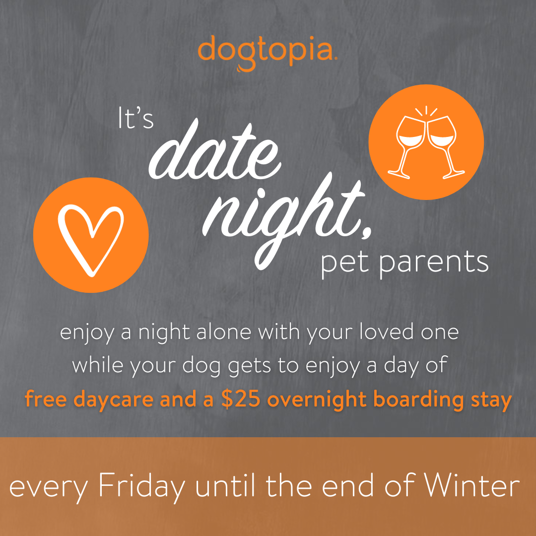 Dogtopia Date Night - Boise-Greenbelt