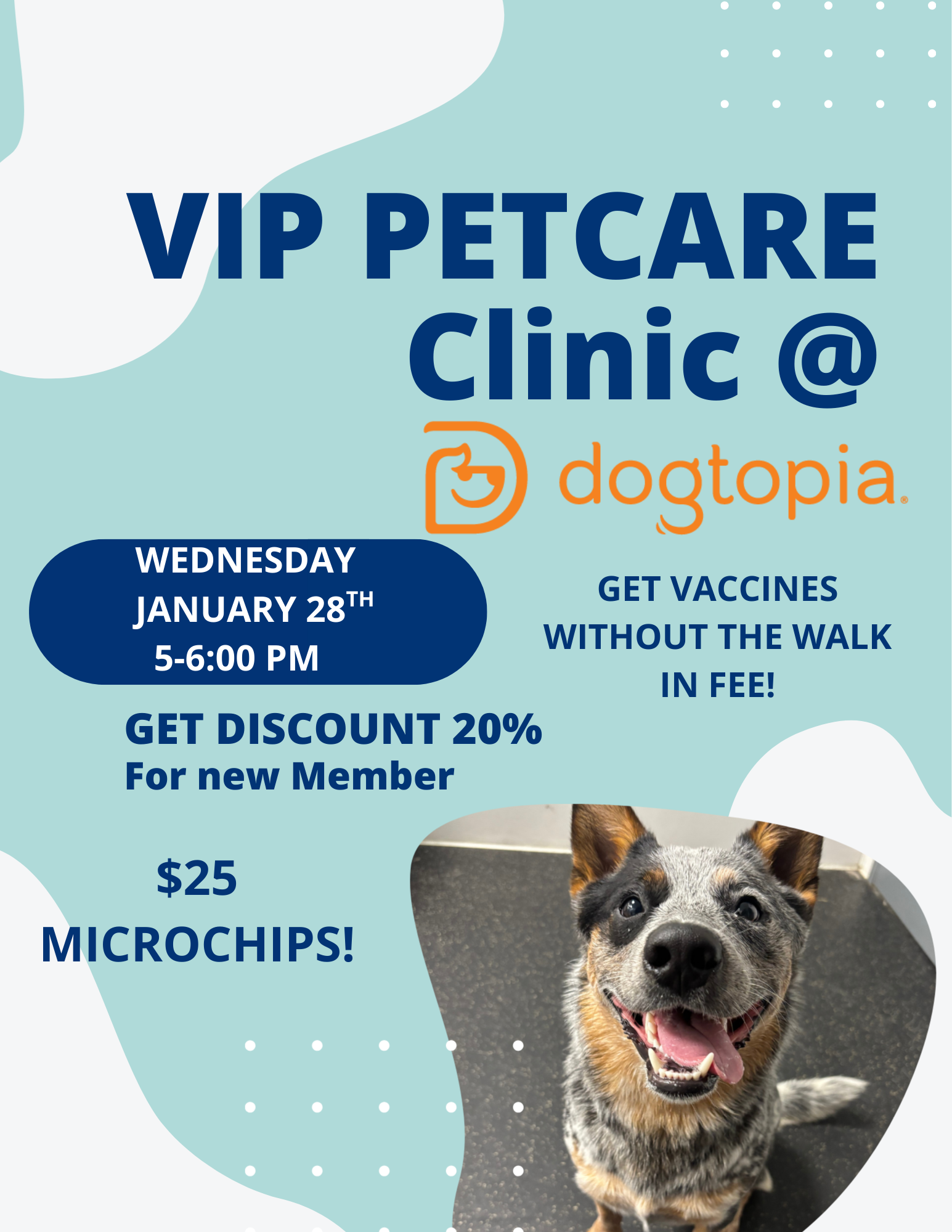 VIP Pet Care Vaccine Clinic! - Boise-Greenbelt