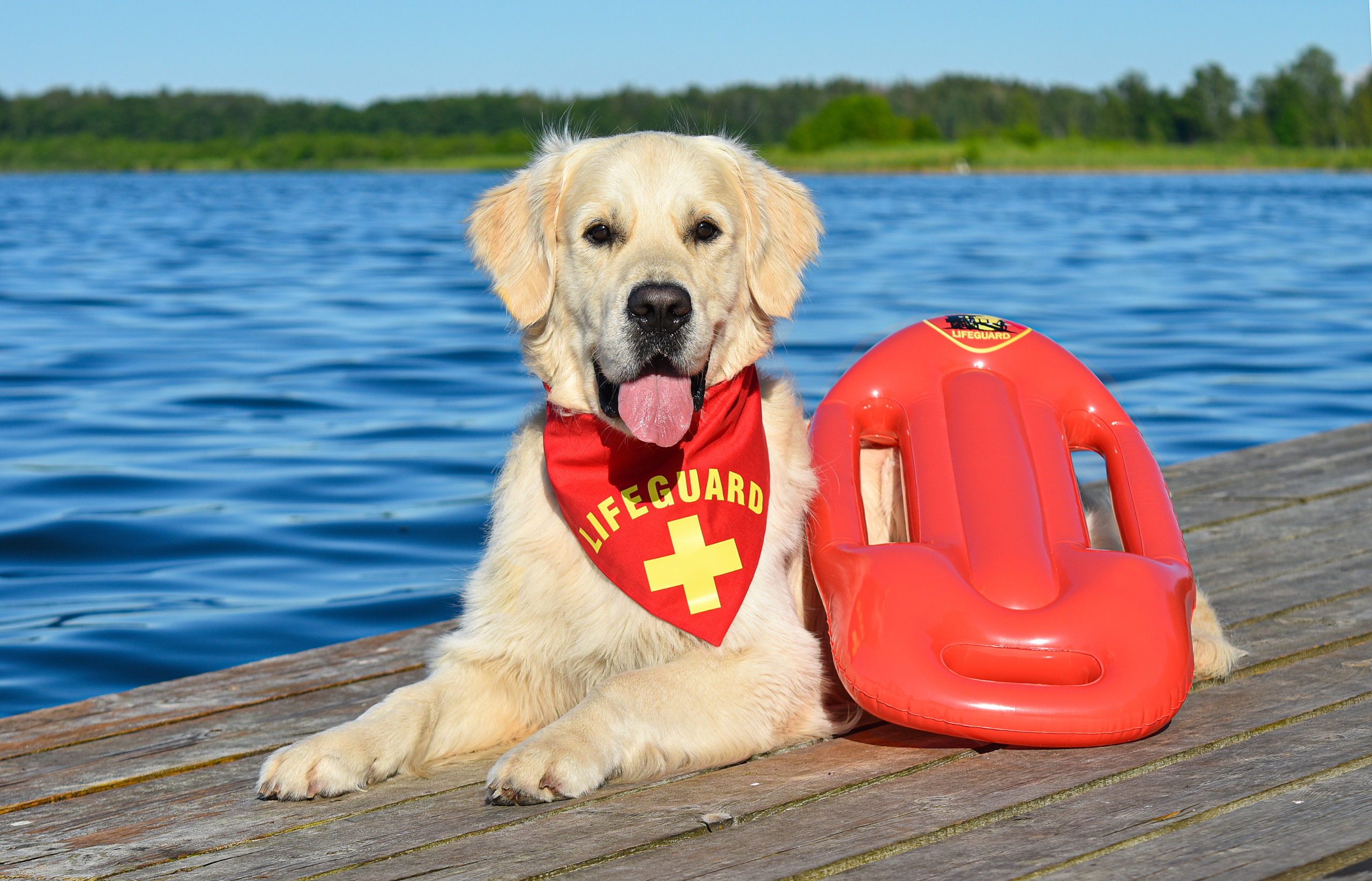 BAYWATCH DAY POOL PARTY! - Valley Forge