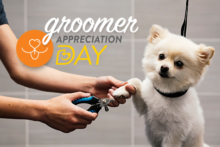 GROOMER APPRECIATION DAY! - Valley Forge