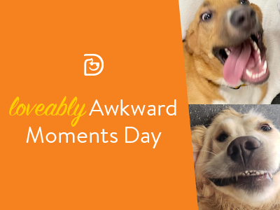 AWKWARD MOMENTS DAY - Valley Forge