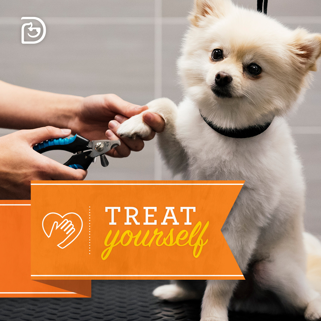 TIPPY TAP TUESDAY - Valley Forge