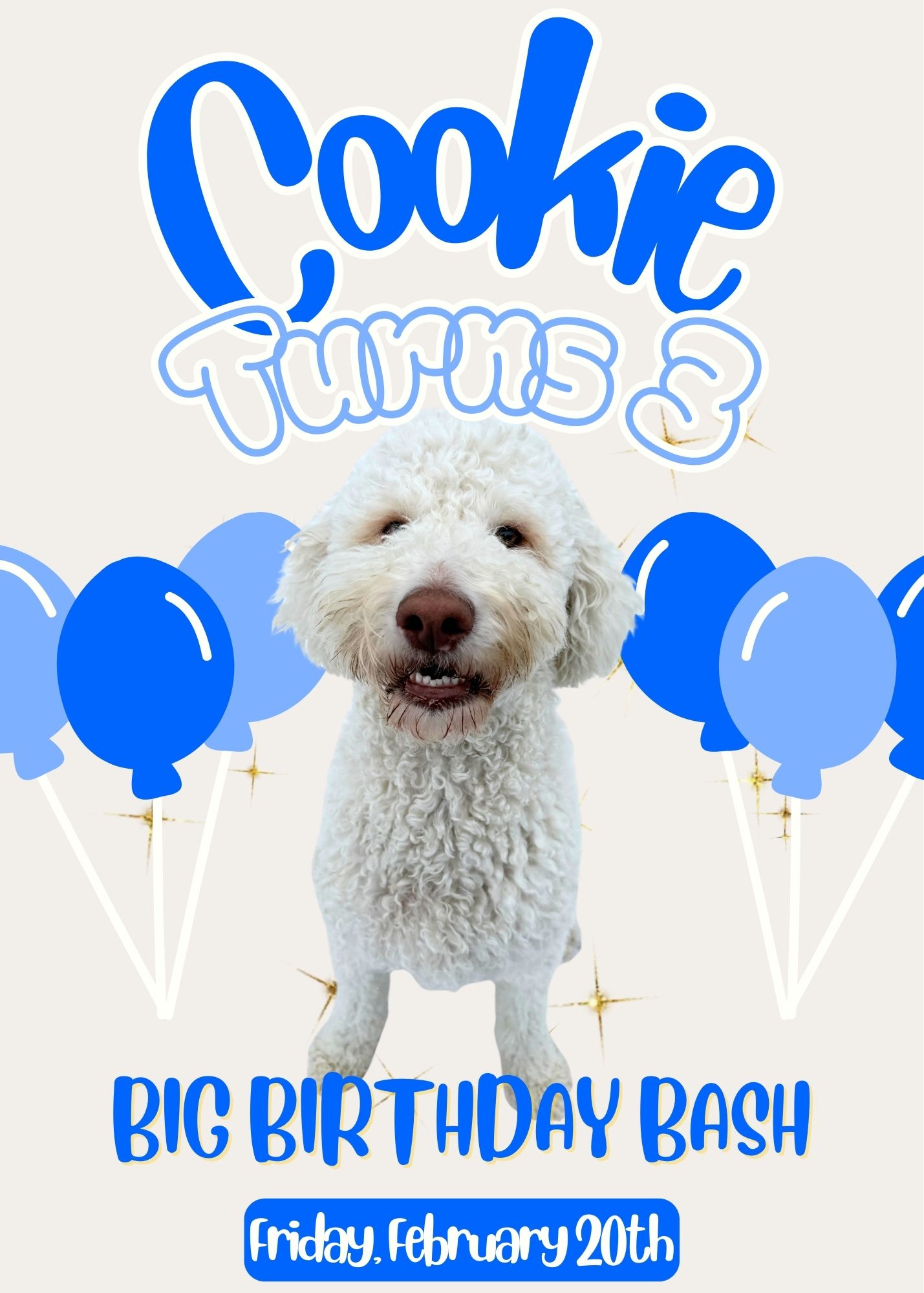 Cookie's 3rd Birthday Party! - The Shire at CityLine