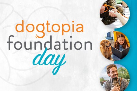 Foundation Day Raffle - Montgomery