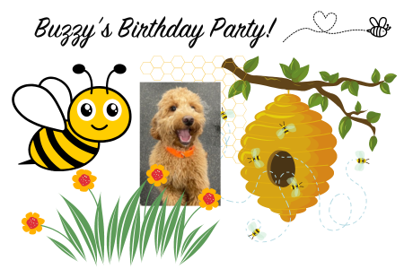 Buzzy's 1st Birthday Party! (TOY) - Montgomery