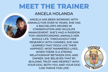 Sponsored Photo Day-Hondo Dog Training - Montgomery