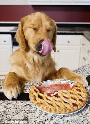 Pi Day - Myrtle Ave - Brooklyn