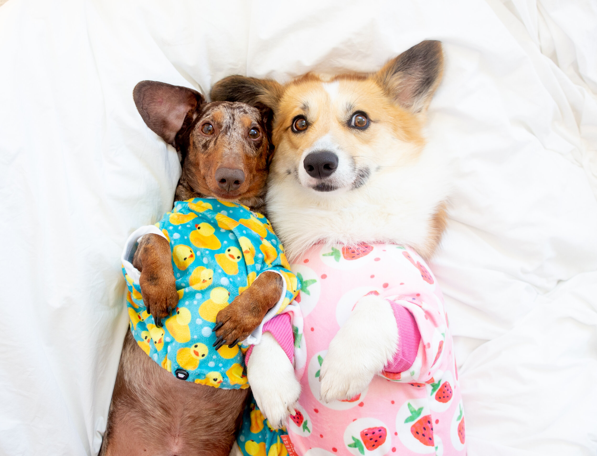 National Sleepover Day - Golden Valley