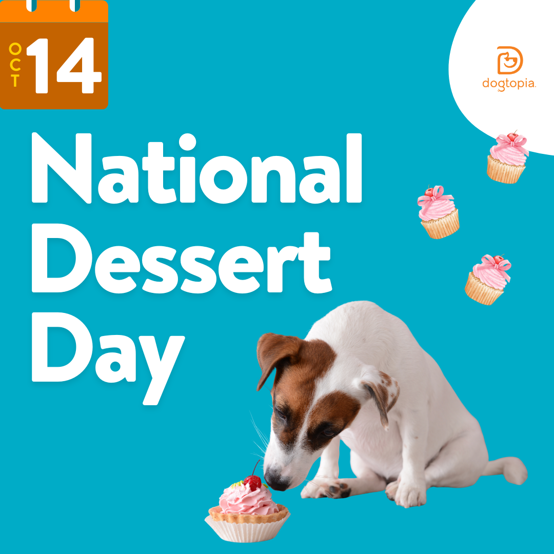 National Dessert Day - Golden Valley
