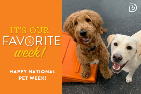 National Pet Week - Garden City Park
