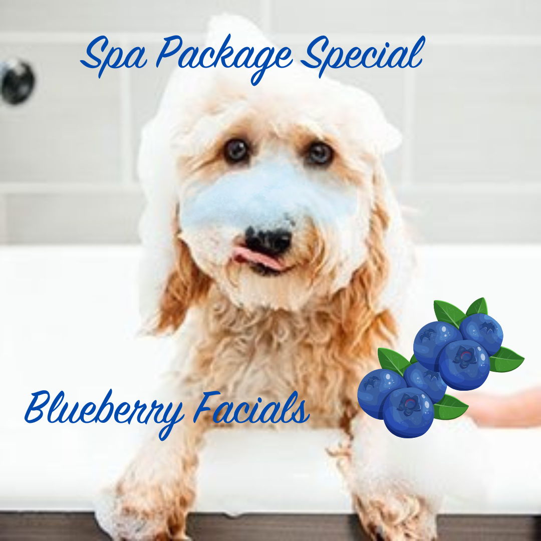 Spa Special - Upland