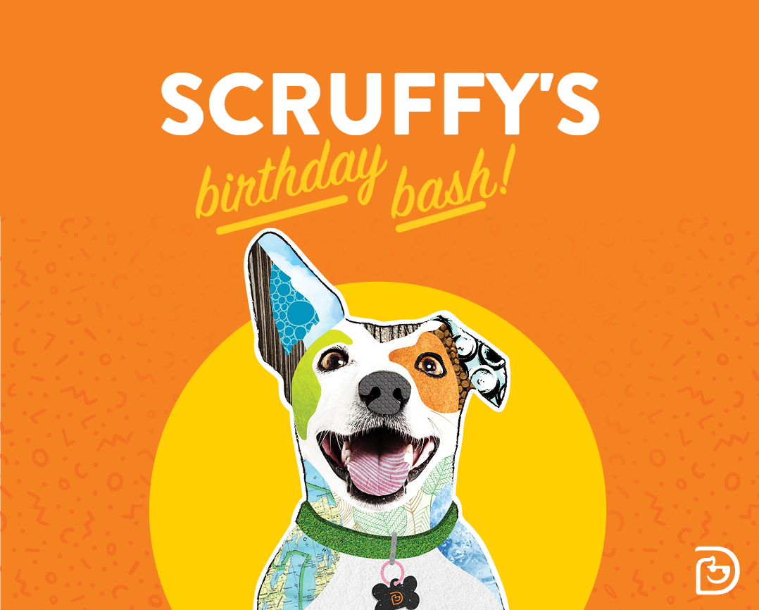 Scruffy's Birthday Bash - Upland