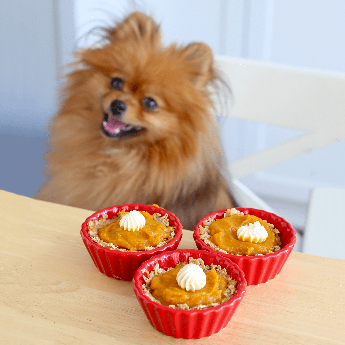 Mini Pup-kin Pies - Upland