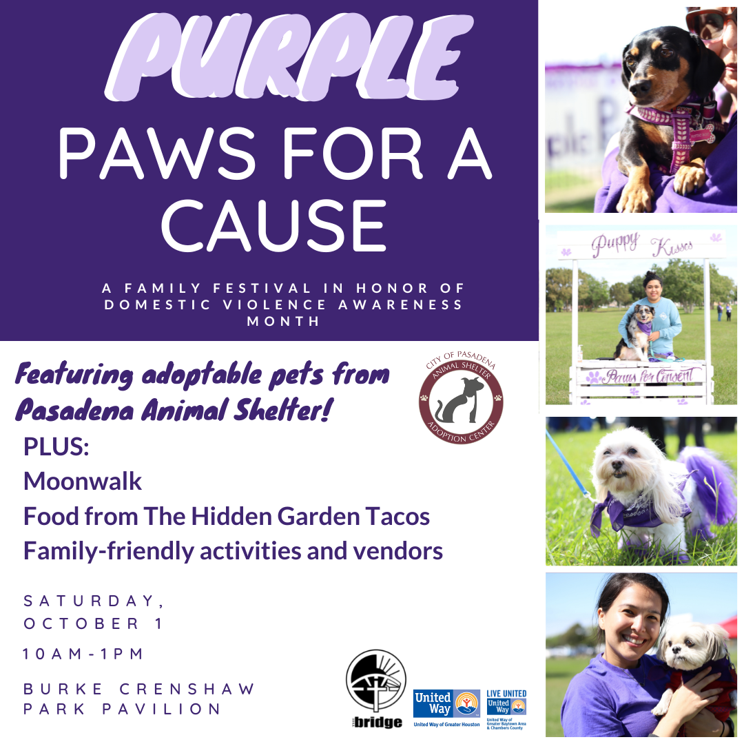 PURPLE Paws for a Cause - Fairmont Parkway