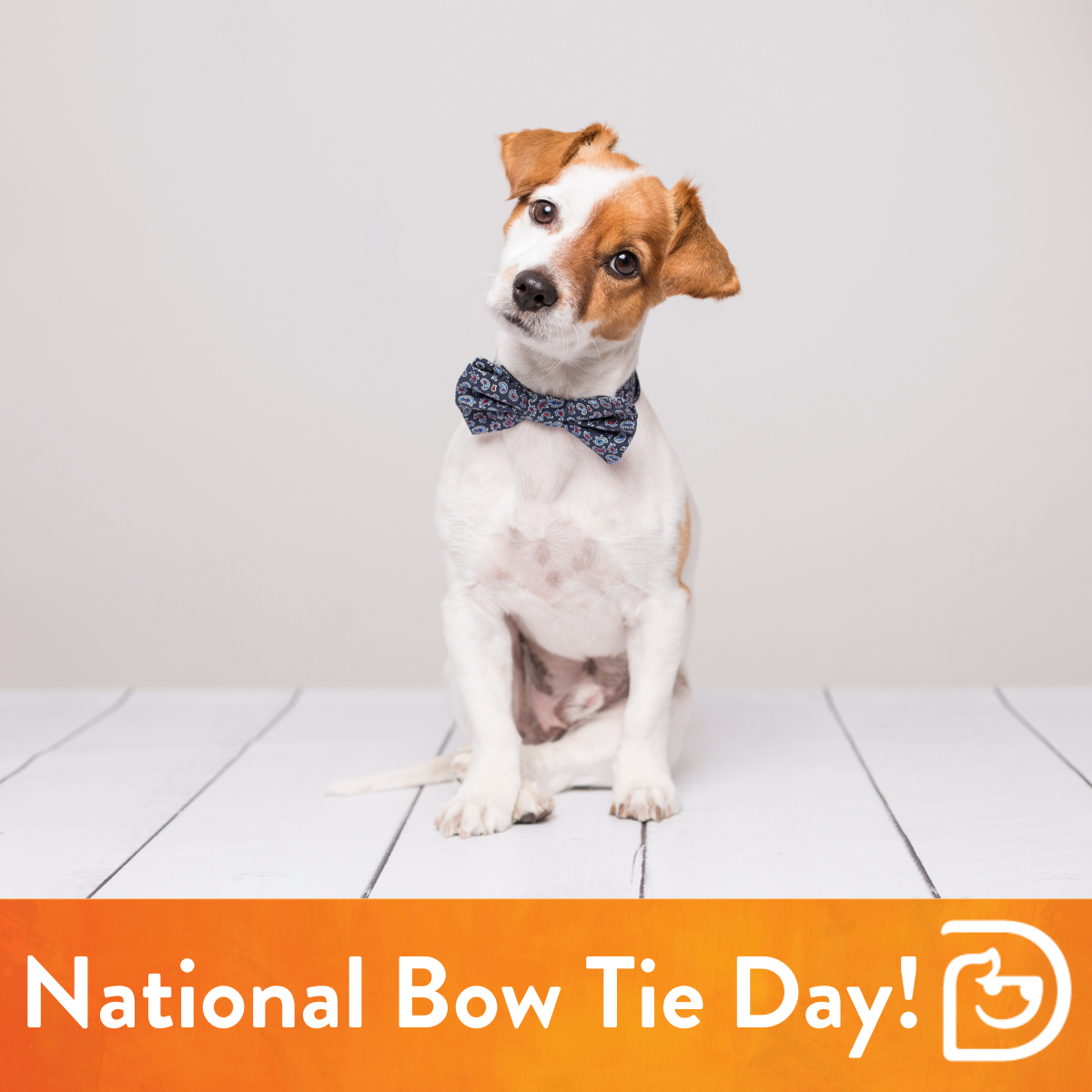 National Bow Tie Day! - South Tulsa