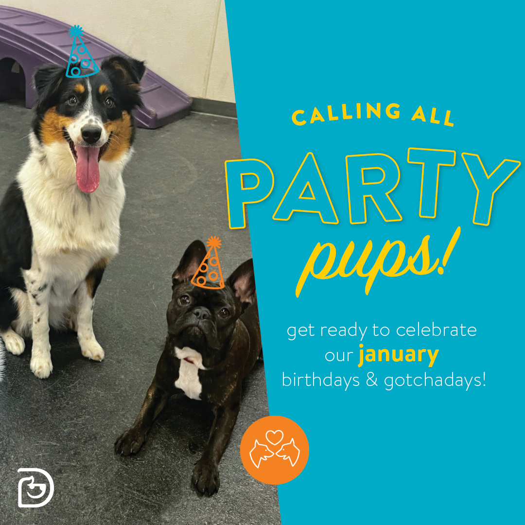 Happy Birthday/Gotcha Day! - South Tulsa