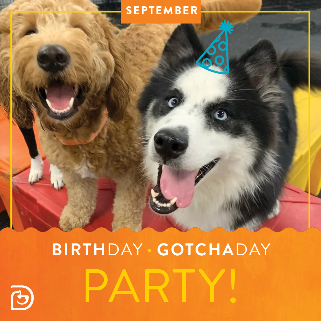 Happy Birthday/Gotcha Day! - South Tulsa