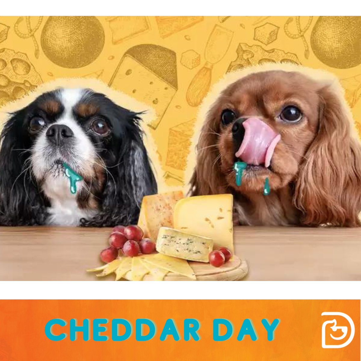 National Cheddar Day! - South Tulsa