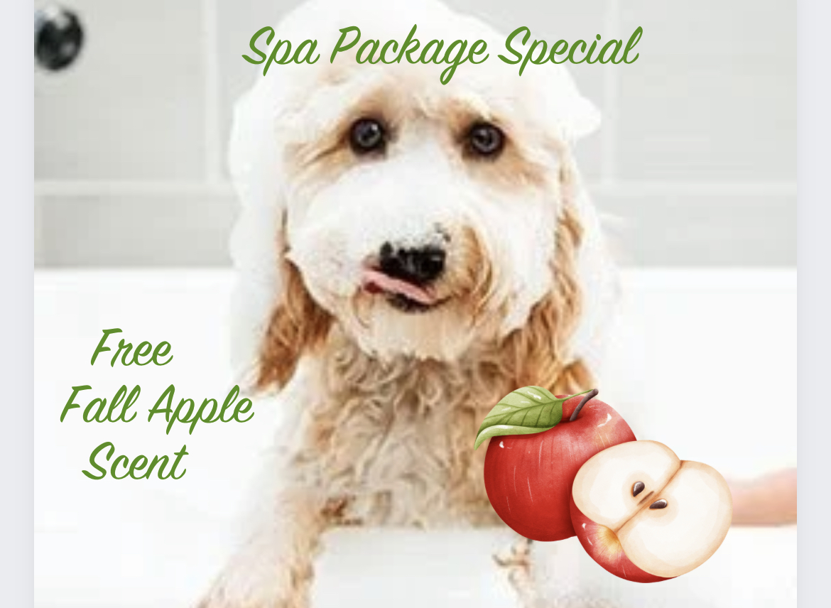 Fall Spa Special - East Pasadena