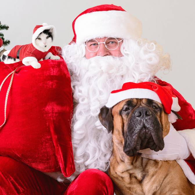 Santa Photos - $20 - Rock Hill
