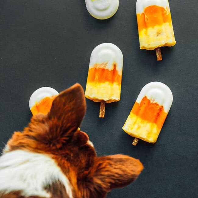 Candy Corn Pupsicles! - Homewood