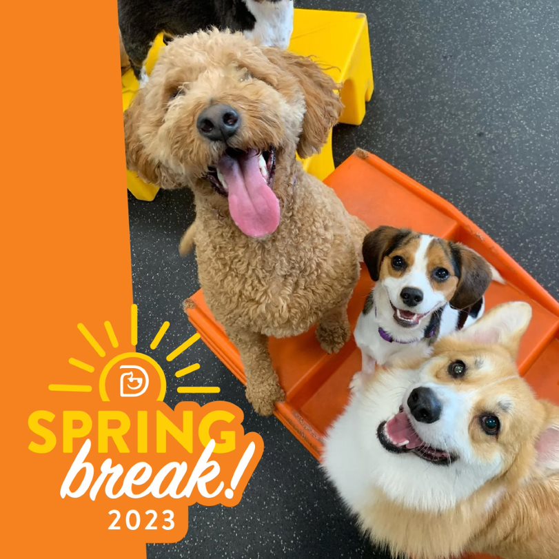 Spring Break Week - Houston - W. Alabama Street