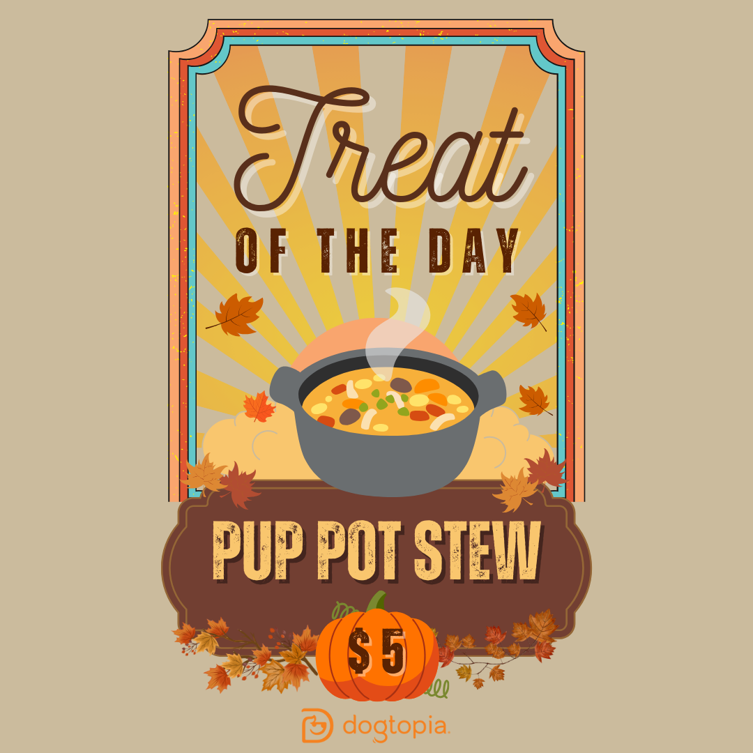 Pup Pot Stew Day - San Antonio - Alamo Heights