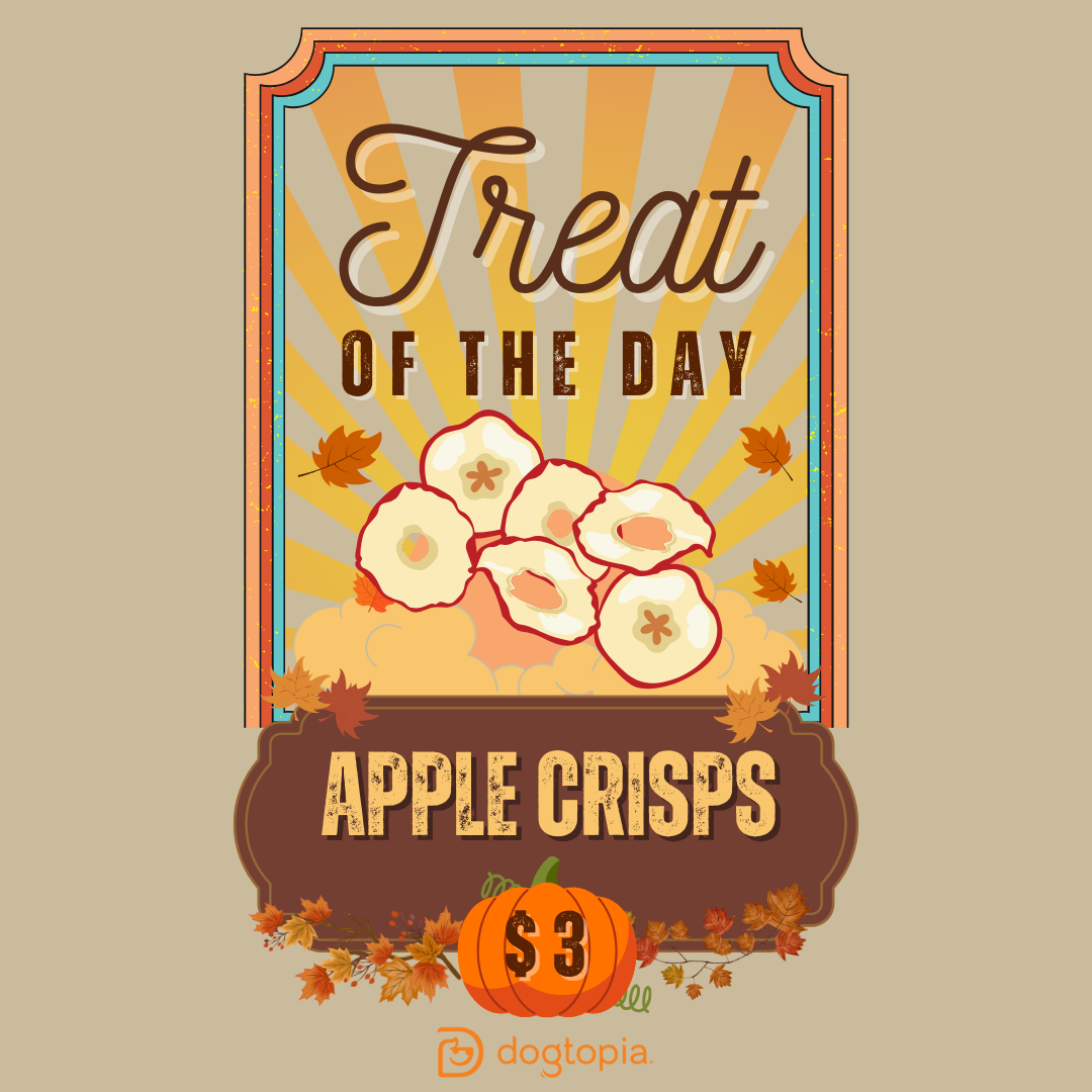Apple Crisps Treat Day - San Antonio - Alamo Heights