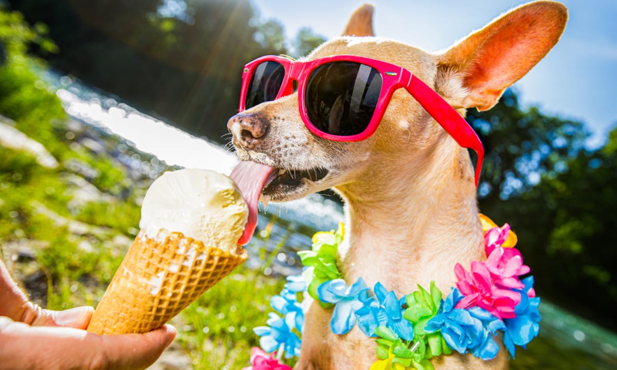 Ice Cream Social & Pool Party - Latham