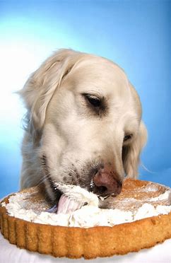 National Sponge Cake Day - Latham