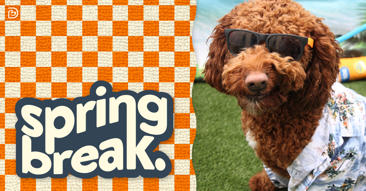 Spring Break - Berkeley Heights